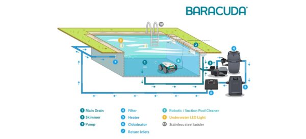 The Anatomy of a Swimming Pool - Baracuda